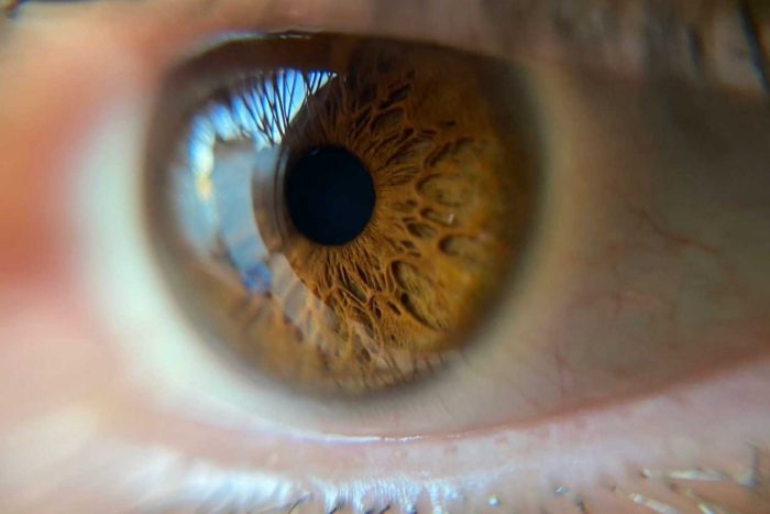 Consiga unos ojos brillantes fácilmente.